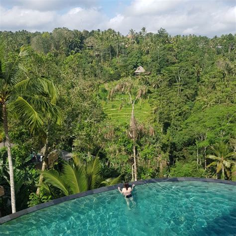 발리 우붓 ‘카욘 정글 리조트 숙소 후기 네이버 블로그