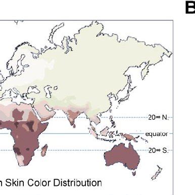 Relationship Of Skin Color To Latitude A A Traditional Skin Color Map