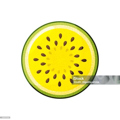 수박 벡터 아이콘 흰색 배경에 여름 건강 식품 그림 수박 슬라이스 고립 된 노란색 육즙 수박 주스 로고 템플릿 벡터