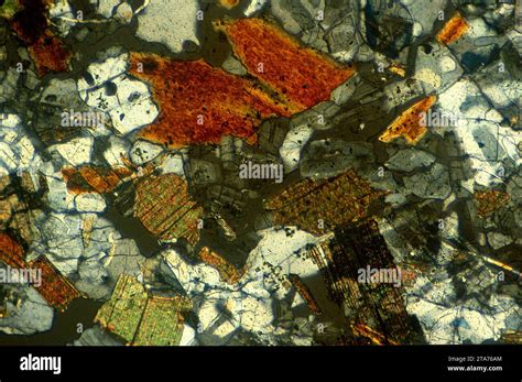 Granite Is An Igneous Intrusive Rock Widely Distributed On Continental Crust Photomicrograph