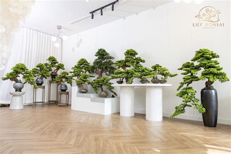 Basem สถาบันเวชศาสตร์การกีฬาและออกกำลังกายกรุงเทพ Bangkok Hospital วันนี้มีแถลงข่าวที่สถาบัน