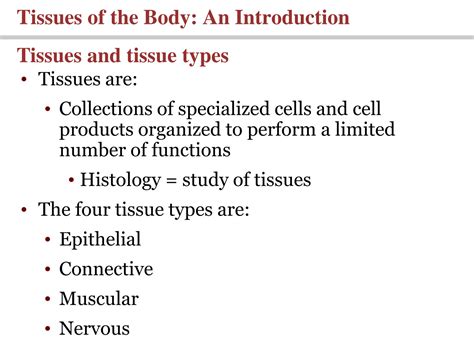SOLUTION Connective Tissue PPT Studypool