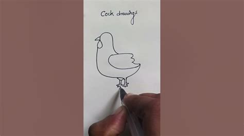 How To Draw Cock Easy Drawings Tutorials Drawingideas Sketch Simple Easy Shorts Beautiful