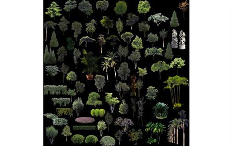 Plant Trees Psd 31406