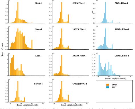 Figure 2 From Transcriptional And Translational Landscape Fine Tune