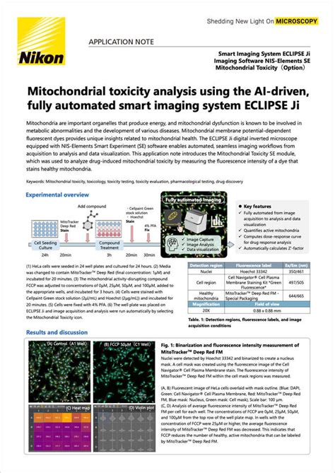 Mitochondrial Toxicity Analysis Using The Ai Driven Fully Automated