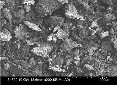 Injectable Extracellular Cartilage Matrix Particle And Application Of Particle To Implants