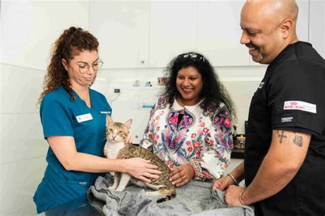 Cat Fungal Infection Types Symptoms And Treatment