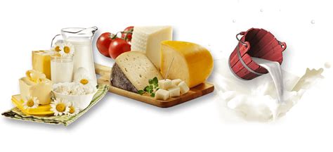 Сыроварня домашняя автоматическая с доставкой по РФ от изобретателя ...