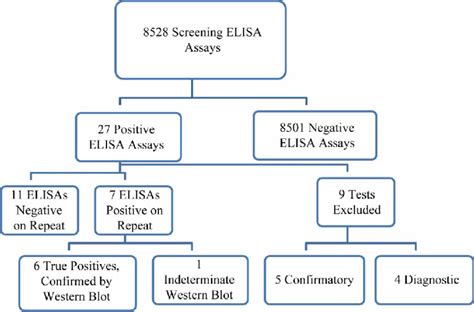 Flow Chart Of Hiv Testing Cascade Download Scientific Diagram