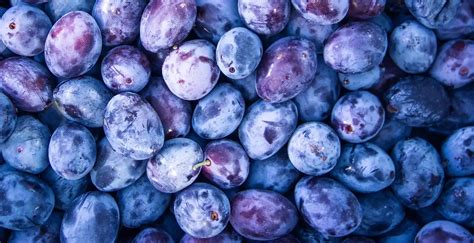 Homemade Plum Wine A Step By Step Guide Fermentistry