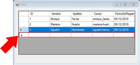 Cómo eliminar filas vacías de un Datagridview