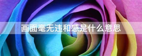 画面毫无违和感是什么意思 业百科