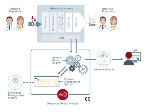 Diagnostic Report Module