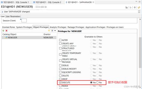 【sap Abap】x档案：sap Native Sql 简介及本地数据库访问实现方式（exec Sql、adbc、amdp、ida） Csdn博客
