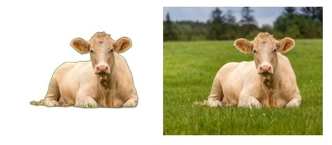 tahsin ahmad on linkedin ⌨️ remove the background of an image using python pip install rembg…