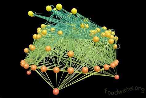 Structure And Dynamics Of Niche Overlap Graphs Icosys