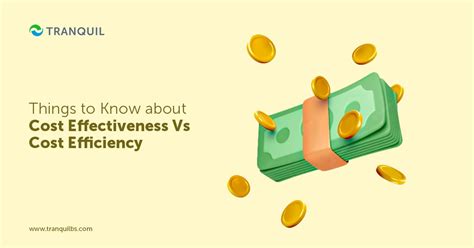 Know About Cost Effectiveness Vs Cost Efficiency Tranquil