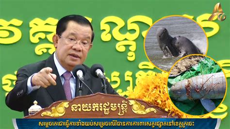 សម្ដេចតេជោធ្វើការទាំងយប់សម្រេចលើវិធានការការពារសត្វផ្សោតនៅខេត្តក្រចេះ