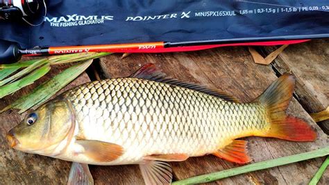 Мормышинг с Maximus Pointer X Nano Jig 165 Xul 0 3 1 5g микроджиг Youtube