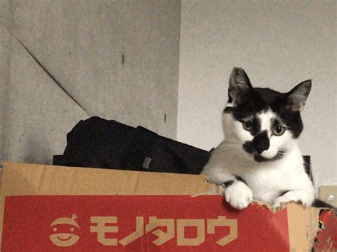 Lick Tongue Out Creepy Edit 