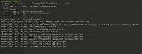 （app测试三板斧）第二板：frida一键hook脚本绕过ssl Piningfrida Hook Ssl Csdn博客