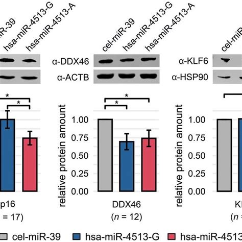 Allele Specific Target Genes Of Hsa Mir 4513 Boxplot Representations Download Scientific
