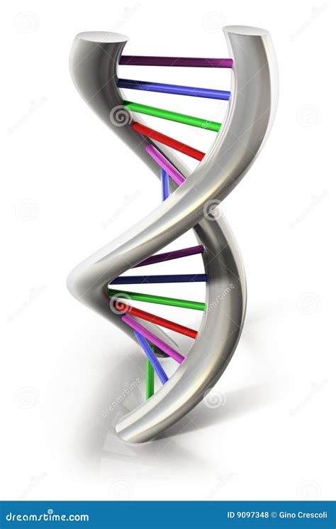 Isolated Dna Segment Stock Illustration Illustration Of Science 9097348