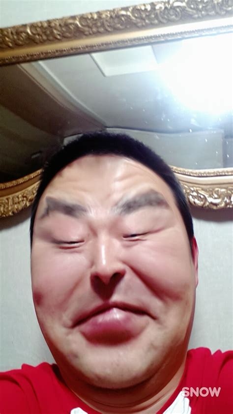 재미있는 얼굴변형 사진찍기 어플 스노우 Snow의 웃긴사진들 네이버 블로그