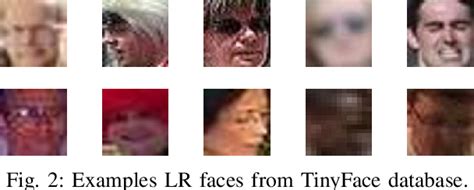 Figure 1 From Lightweight Low Resolution Face Recognition For Surveillance Applications