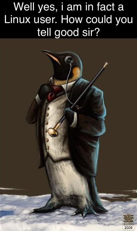 This Is What The Average Linux User Looks Like Rlinuxmemes