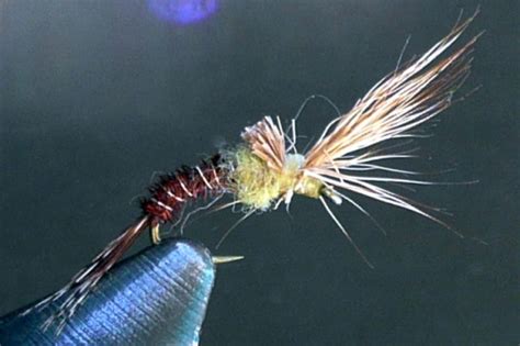 Floating Pmd Nymph Planettrout