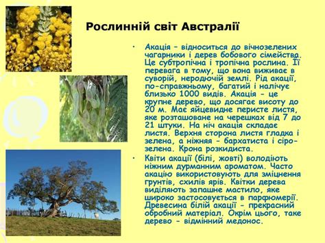 Рослинний та тваринний світ Австралії Природні зони презентация онлайн