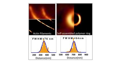 Nitrogen Doped Biocompatible Carbon Dot As A Fluorescent Probe For