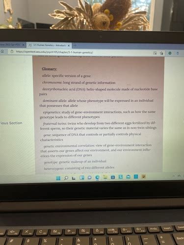 Psych 105 Flashcards Quizlet