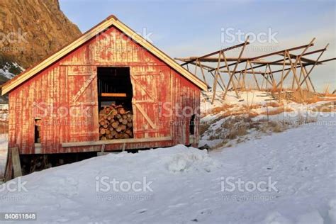 오래 된 빨간 Rorbu 파괴 하 고 부서진 로그 저장소 I Lofotenmoskenesoya노를 란 드노르웨이 0332 0명에 대한 스톡 사진 및 기타 이미지 Istock