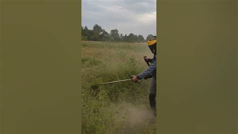 전문 잔디 깎는 기계로 잔디를 깎고 있습니다 이탈리아 21kw 트리머 무게 10kg 2005년 Youtube