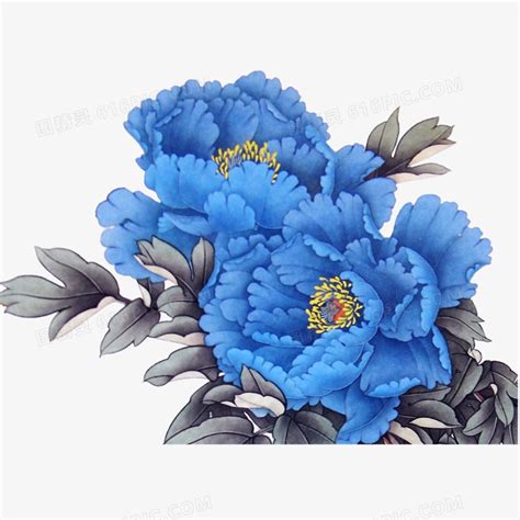 蓝色牡丹花图片免费下载 PNG素材 编号1m9i5rnkx 图精灵