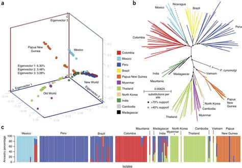 Global Population Structure Of P Vivax A Three Eigenvector Pca