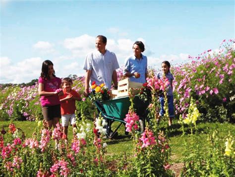 La Cueillette De Muizon Reims Tourisme