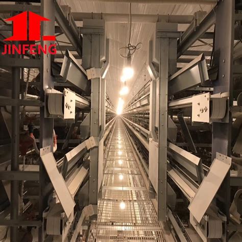 H Type Best Price Poultry Farm Egg Layer Chicken Cages China Bird