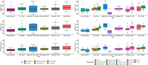 Boxplots Of Point Length Width And Thickness Mm For Each Site Left Download Scientific