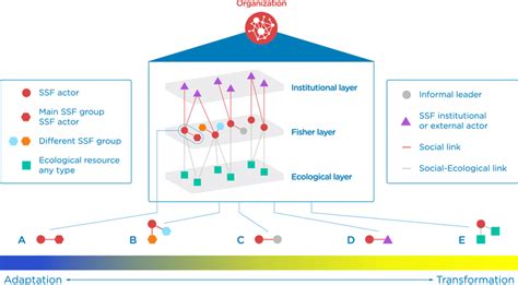 Social And Social Ecological Network Structures Hypothesized To Support