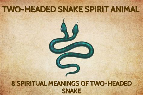 8 Spiritual Meanings Of Two Headed Snake
