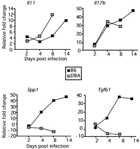 2 validation of rt pcr array by quantitative real time pcr data shows