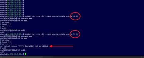 Problems In The Filesystem In A Container With Ubuntu 2204 Inside An