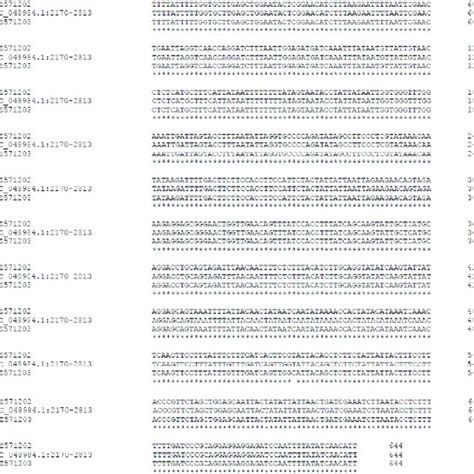 Alignment Of Nucleotides 2170 To 2813 Of Nc0489841 Complete