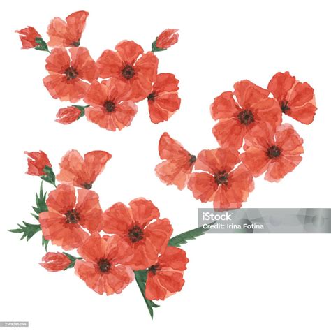 빨간 양귀비와 물망초 꽃다발 양귀비 데이 구성 손으로 그린 수채화 그림 카드 배너 기념 행사 기념 Remembrance Sunday에 대한 스톡 벡터 아트 및 기타 이미지