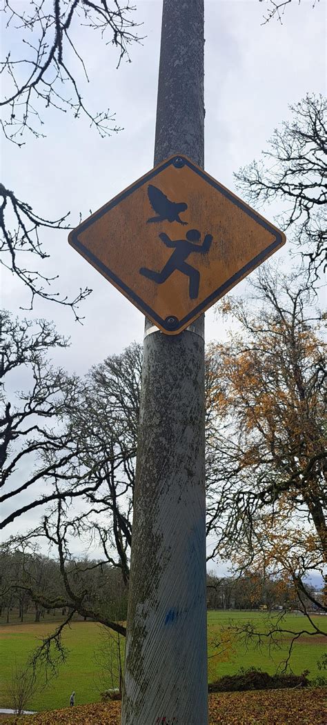 28 Warning Signs That Caught Attention Funny