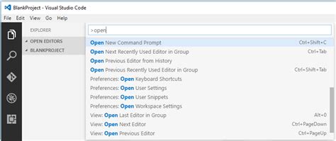 Convert The Project Folder Into A Package Nativescript